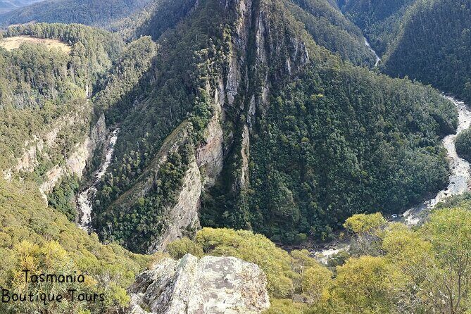 Gunns Pains Caves Sightseeing Tour - Final Thoughts: Who Will Love This Tour?