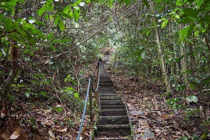 Gunung Gading National Park Tour - Key Points