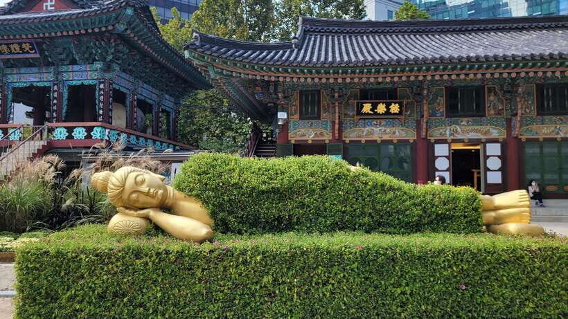 Gyeongbokgung Palace, Jogyesa Temple and Bukchon village - Why This Tour Works