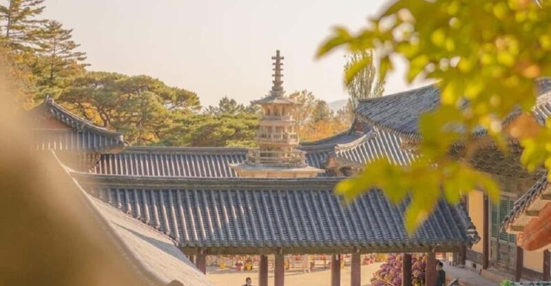 Gyeongju Private Car Tour with a Licensed Tour Guide - Transportation and Comfort