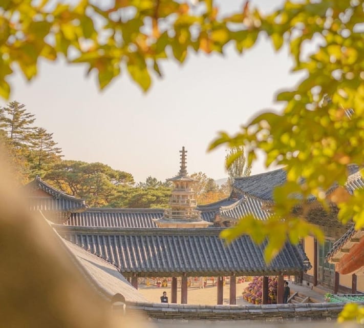 Gyeongju Private Car Tour with a Licensed Tour Guide - Final Word