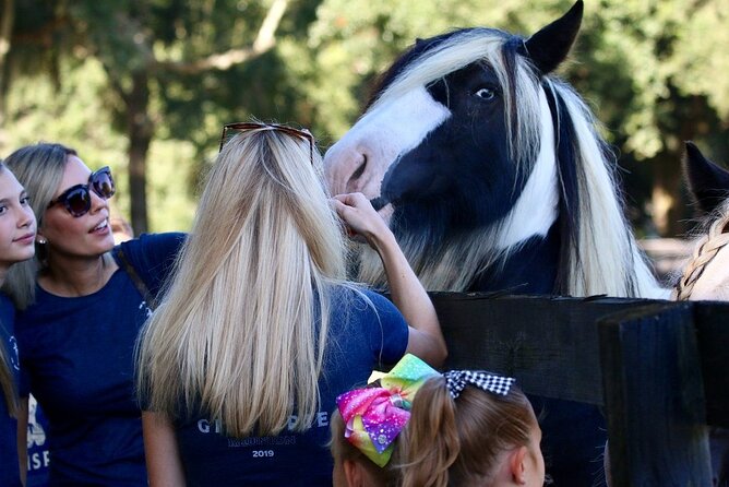 Gypsy Gold Horse Farm Tour - Who Will Love This Tour?