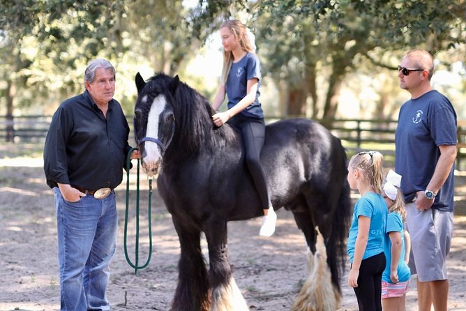 Gypsy Gold Horse Farm Tour - Final Thoughts