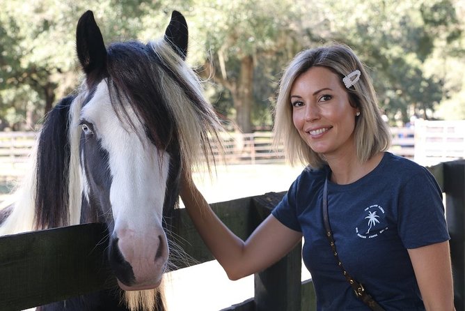 Gypsy Gold Horse Farm Tour - FAQ
