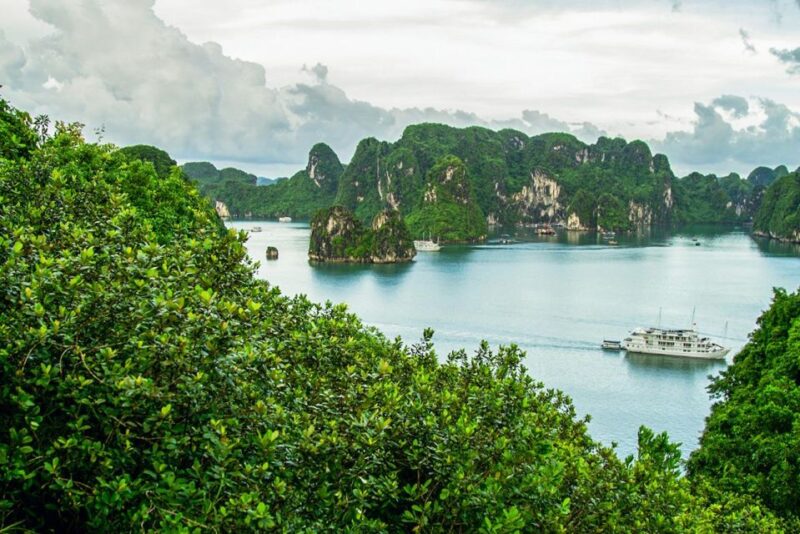 H Long: Inland City Tour - Analyzing the Value and Suitability