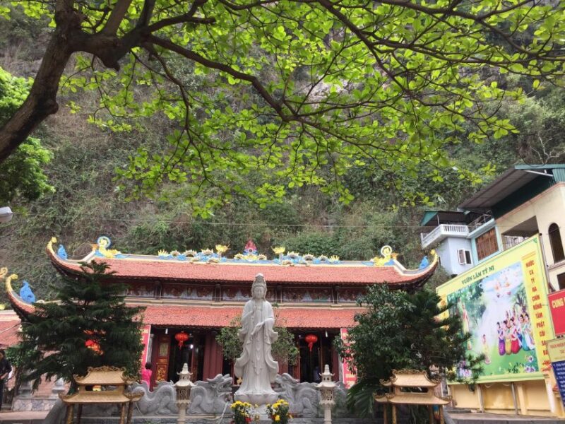 H Long: Inland City Tour - The Sum Up