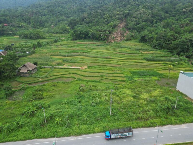 Ha Giang : 1 Day Trekking ethnic villages - Starting Your Day: Early Mornings and First Impressions