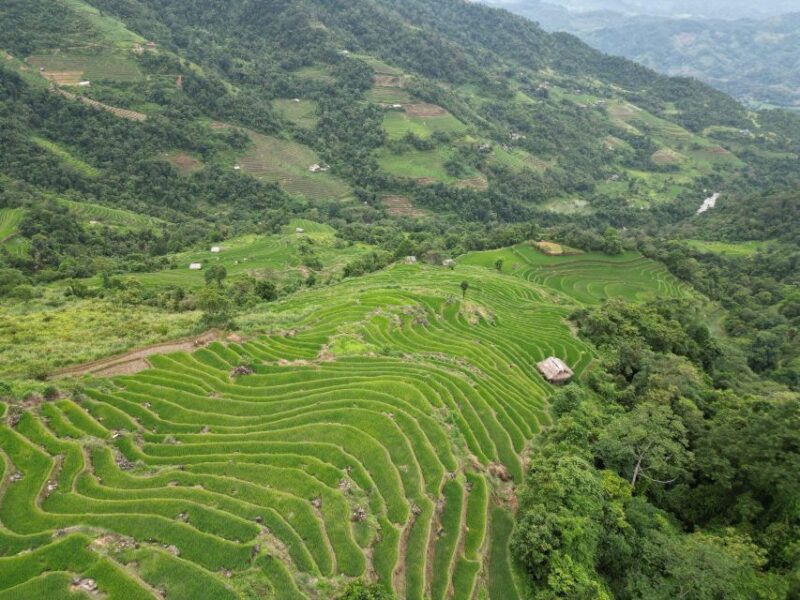 Ha Giang : 1 Day Trekking ethnic villages - The Breathtaking Terraced Fields