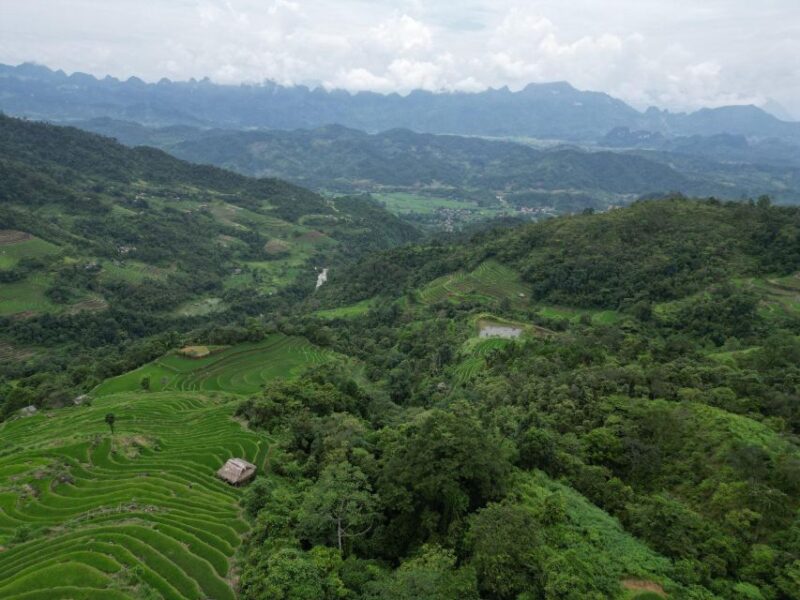 Ha Giang : 1 Day Trekking ethnic villages - Final Thoughts: Who Will Love This Tour?