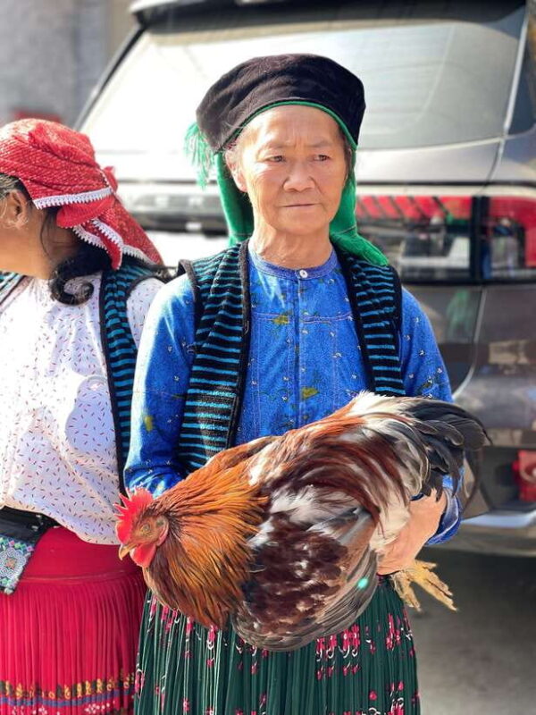 Ha Giang: 3-Day Guided Car Tour with Homestay - What to Expect Each Day