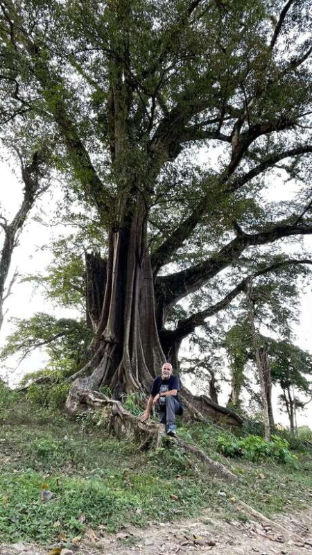 Ha Giang: 3-Day Guided Car Tour with Homestay - How the Tour Works and Why It’s a Good Deal