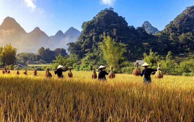 Ha Giang: 4-Day Cao Bang Loop Motorbike Tour - The Sum Up