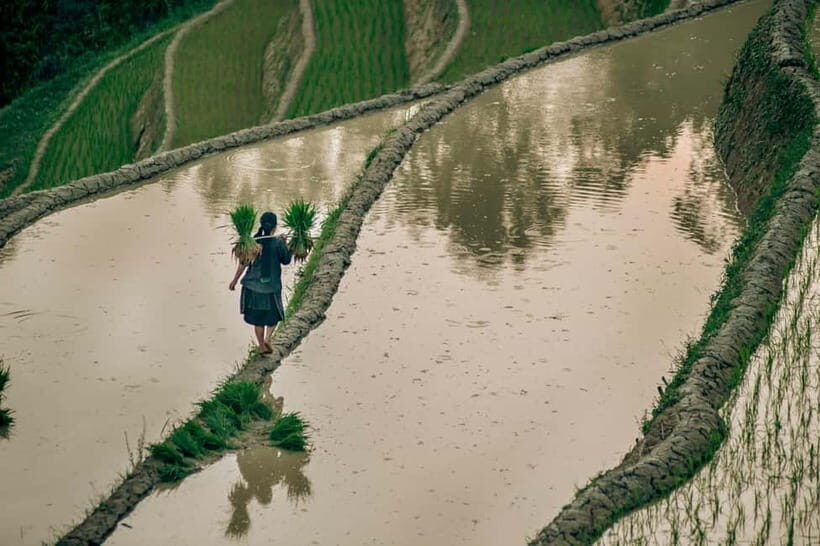 Ha Giang 4-Day Motorbike Loop: Villages, Passes, Hidden Gems - FAQs