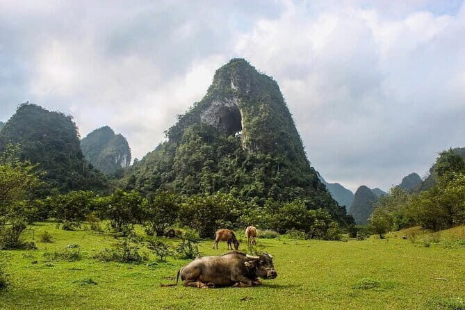 Ha Giang Cao Bang Loop 5 Days Private Tour with English Guide - A Detailed Look at the Itinerary
