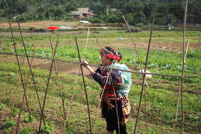 Ha Giang Easy Rider 3D3N - Authenticity and Reviews