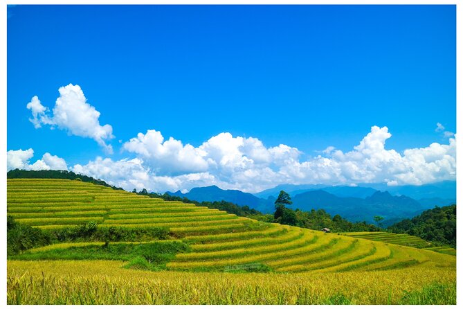 Ha Giang Loop 2D/1N Private Room + Free Stay Hotel 1N before tour - Who Will Love This Tour?