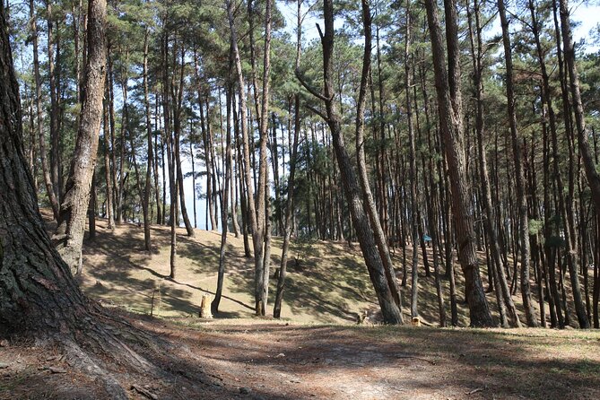 Ha Giang Loop 3 Days from Hanoi by Ha Giang Expeditions - Who Should Take This Tour?