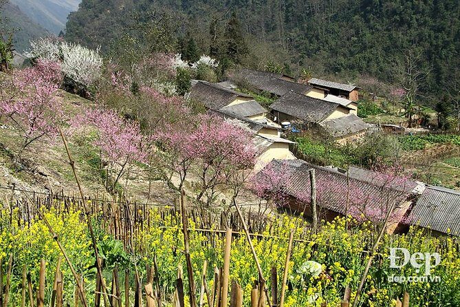 Ha Giang Loop 5D4N - By Easy rider (Join in Group - Private Room) - FAQ