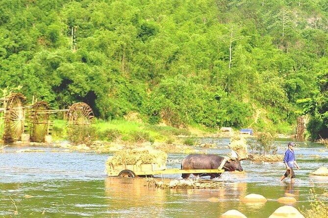 Ha Giang Loop Motorbike Tour 3 Days from Hanoi Private Room - Food, Culture, and Authentic Experiences