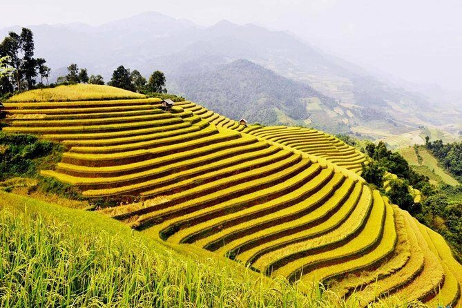 Ha Giang loop trekking 4 days 3 nights - The Itinerary Breakdown: What to Expect