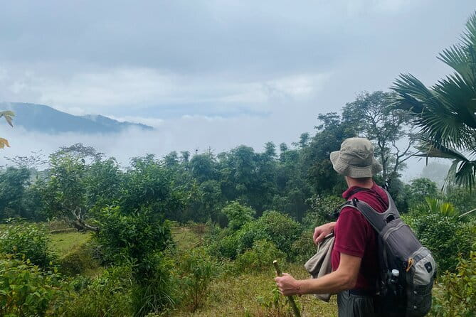 Ha Giang Loop Trekking Full Day Tour - Why This Tour Offers Good Value
