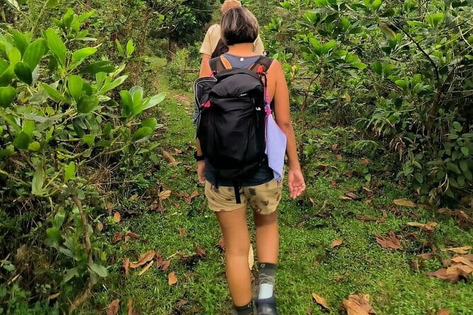 Ha Giang Loop Trekking Full Day Tour - Who Should Consider This Tour?