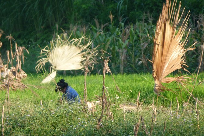 Ha Giang Trekker 2D2N - Key Points