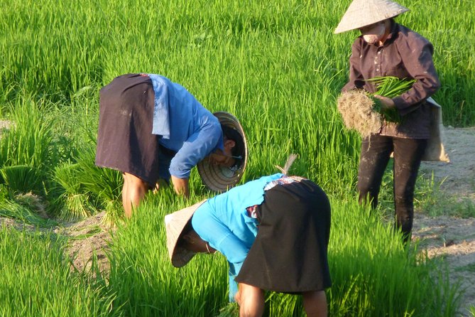 Ha Giang Trekker 2D2N - What to Expect in Terms of Logistics