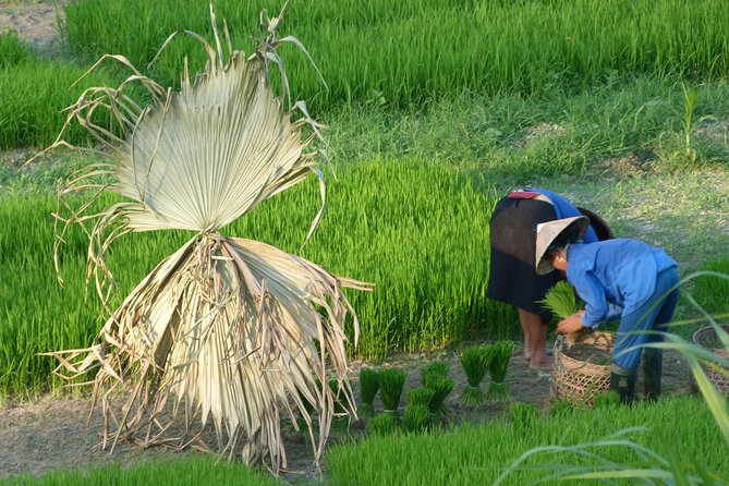 Ha Giang Trekker 2D2N - The Bottom Line