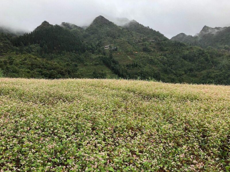 Ha Giang Trekker in 3D3N - Final Thoughts: Who Will Love This Tour?