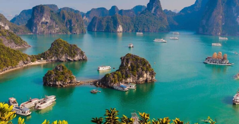 Ha Long 1 Day Luxury Small Group & Kayaking - What Travelers Say