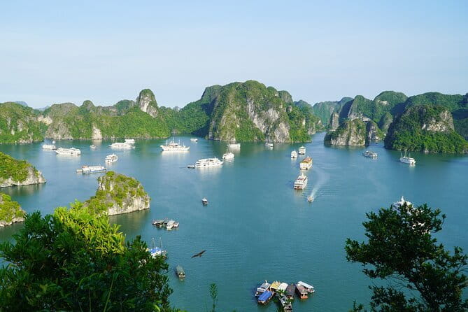 Ha Long Bay 1 Day Joined Luxury Tour - Who Is This Tour Best For?