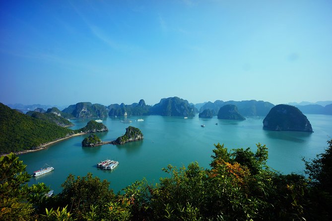 Ha Long Bay 1 Day Tour - What Travelers Say About This Tour