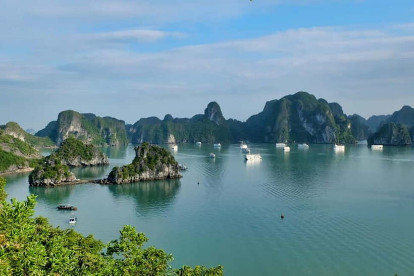 Ha Long Bay Day Cruise: Surprising Cave and Titov Island - Final Thoughts: Who Should Take This Tour?