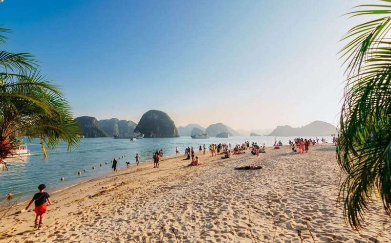 Ha Long Bay Day Trip with Best Price - Who Should Consider This Tour?