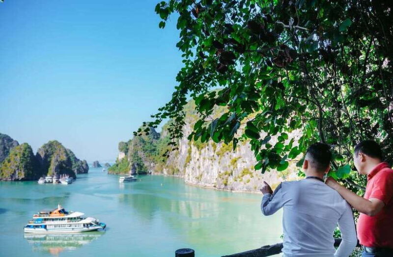 Ha Long Bay Day Trip with Best Price - Frequently Asked Questions