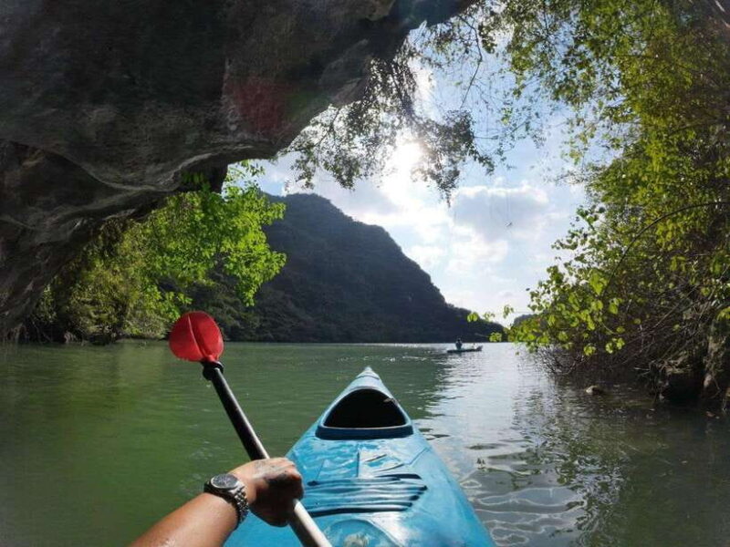 Ha Long Bay Luxury Day Cruise 5-Star Experience w Limousine - The Gourmet Buffet Lunch: A Feast on the Water