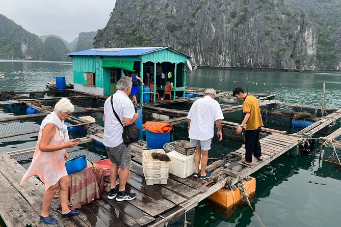 Ha noi: 3D- Halong, Lan ha bay classic cruise, Ninh Binh full day - Transportation & Group Size