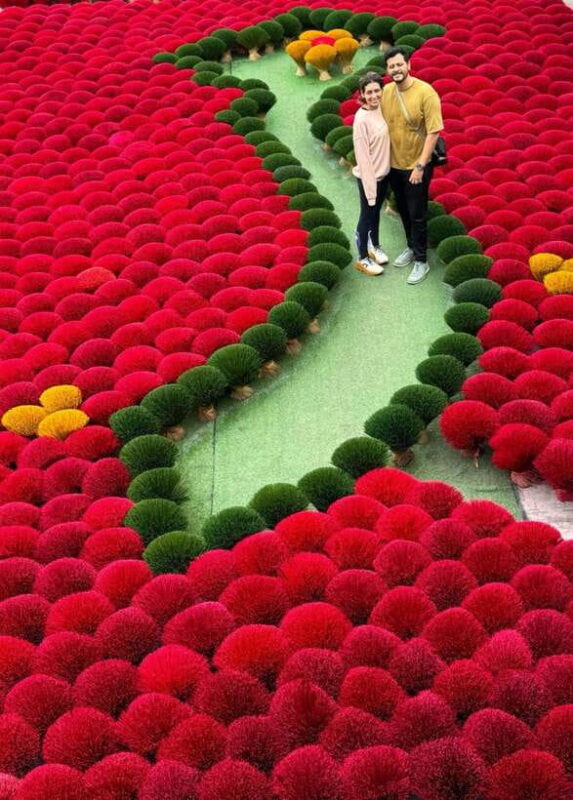 Ha Noi City Tour And Quang Phu Cau Incenses Village Full Day - Who Will Enjoy This Tour?