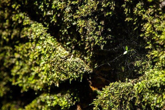 Ha Noi: Full-day Cuc Phuong National Park Eco-adventure - An Authentic Day Out in Nature and Conservation