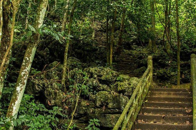 Ha Noi: Full-day Cuc Phuong National Park Eco-adventure - Exploring the Forest and Ancient Sites