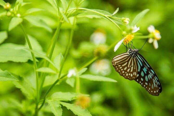 Ha Noi: Full-day Cuc Phuong National Park Eco-adventure - The Sum Up: Who Will Love This Tour?