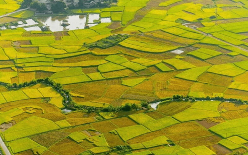 Ha Noi - Mai Chau - Pu Luong 2 Days 1 Night Trekking Tour - Key Points