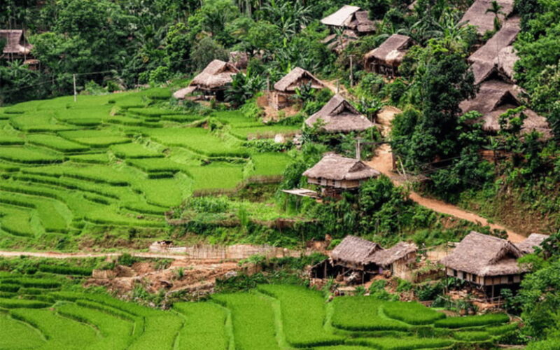 Ha Noi - Mai Chau - Pu Luong 2 Days 1 Night Trekking Tour - FAQ