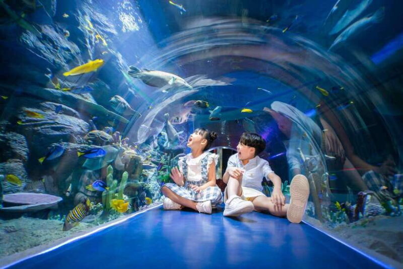 Ha Noi: VinKE and Vinpearl Aquarium Entry Ticket - The Sum Up