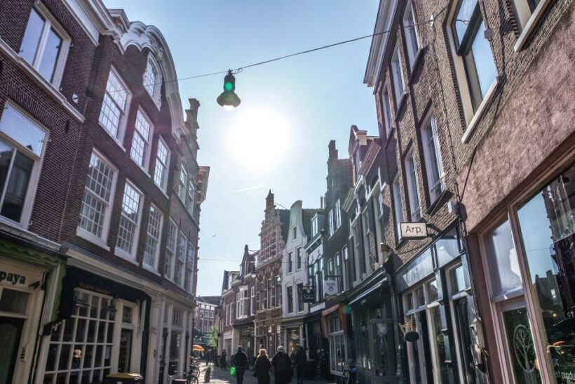 Haarlem: City Highlights Walking Tour - An In-Depth Look at the Haarlem Tour