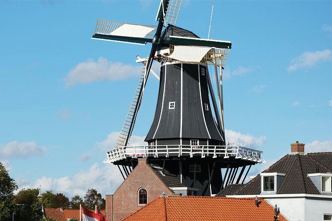 Haarlem Private Day Trip from Amsterdam with Local - What Makes This Tour Stand Out?