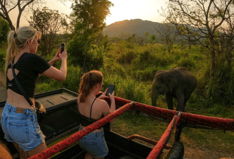 Habarana: Hurulu Eco Park Half Day Safari with Hotel Pickup - Key Points