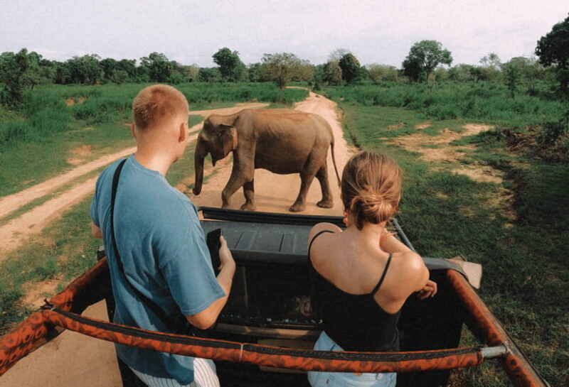 Habarana: Hurulu Eco Park Half Day Safari with Hotel Pickup - For Who Is This Tour Best?