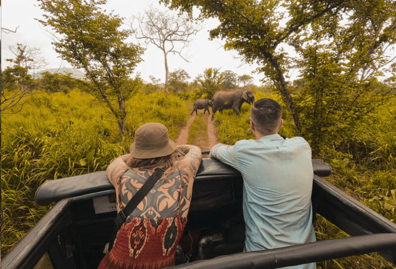 Habarana: Hurulu Eco Park Half Day Safari with Hotel Pickup - The Itinerary in Detail